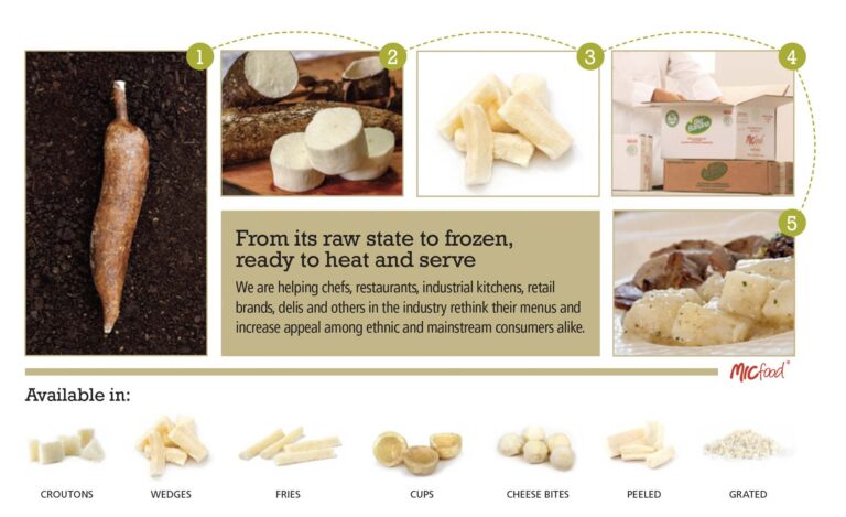 Yuca 101: What Is Yuca? | MIC Food